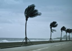 News You Need - Wright Flood Resource Center