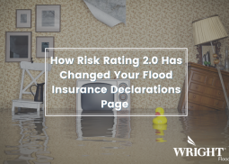 The Basics - Wright Flood Resource Center